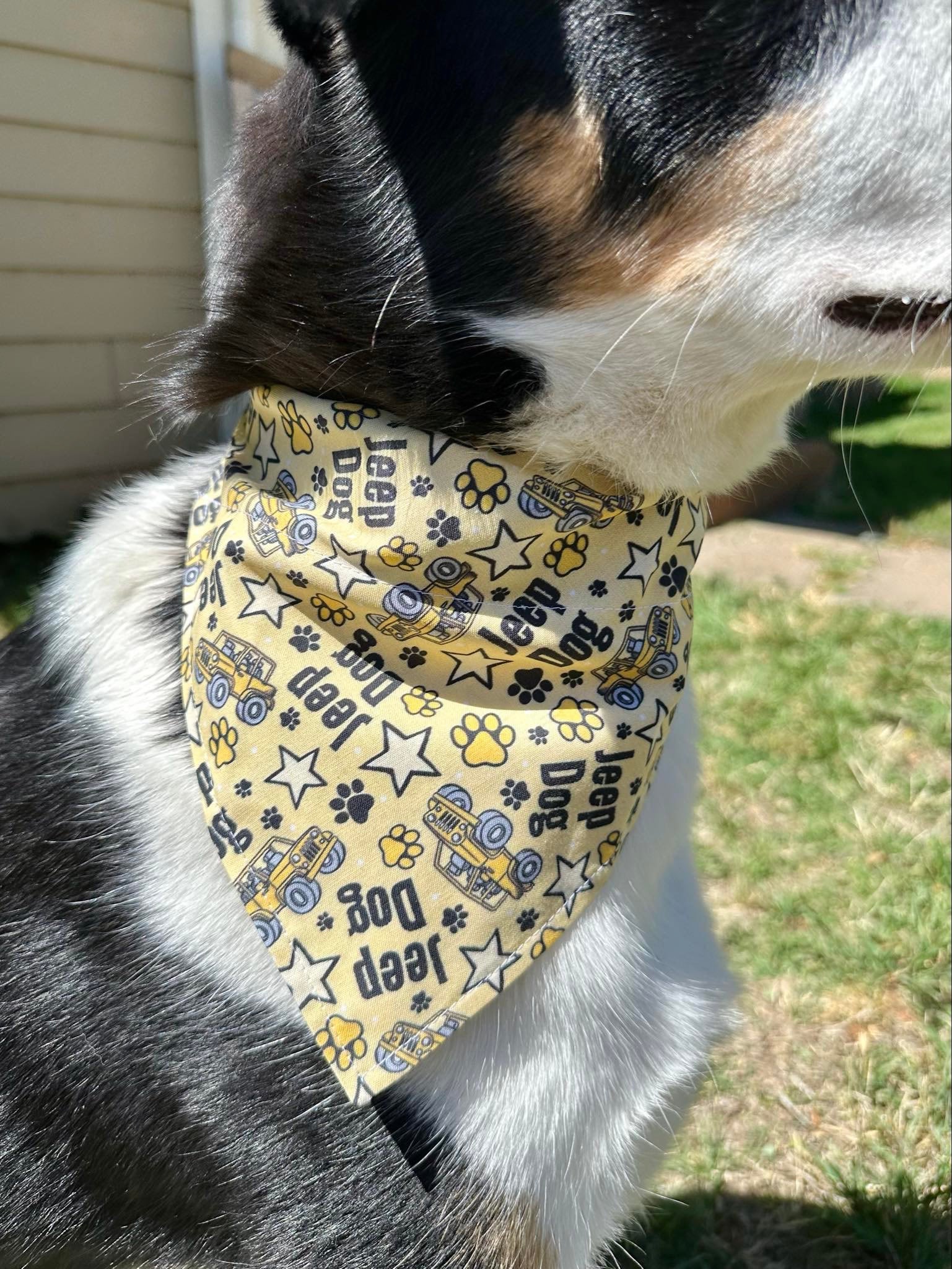 Jeep Dog Bandana